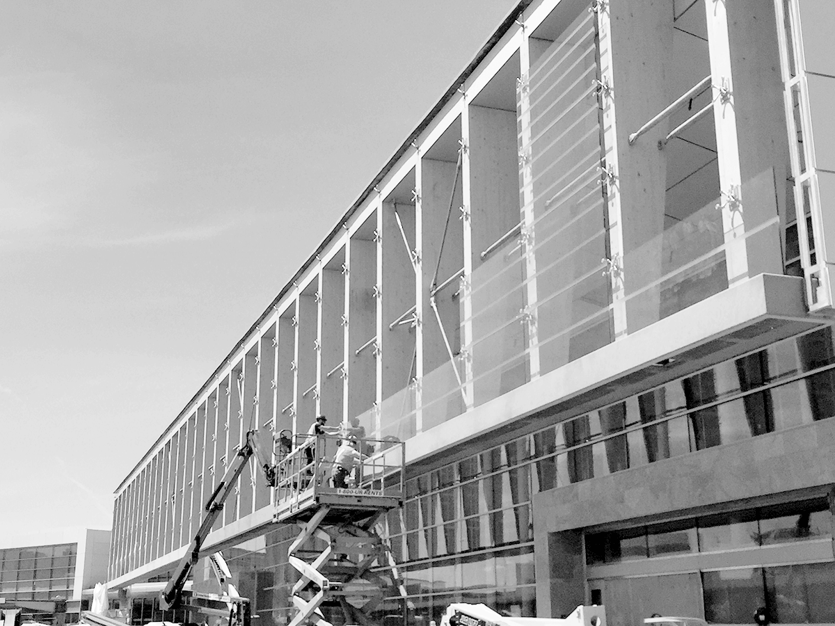 Elema - Memorial 100