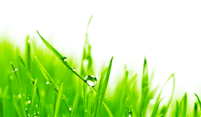 Groupe Vertdure - Memorial 100