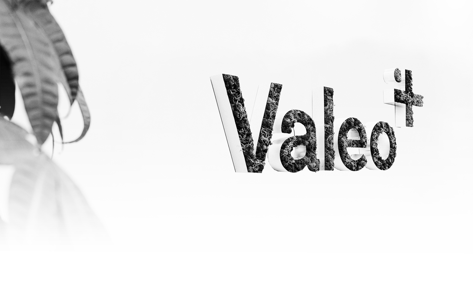 Valeo+ - Memorial 100